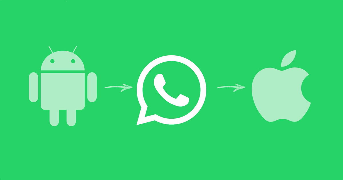 WhatsApp prepares the migration of chats between Android and iOS - GEARRICE